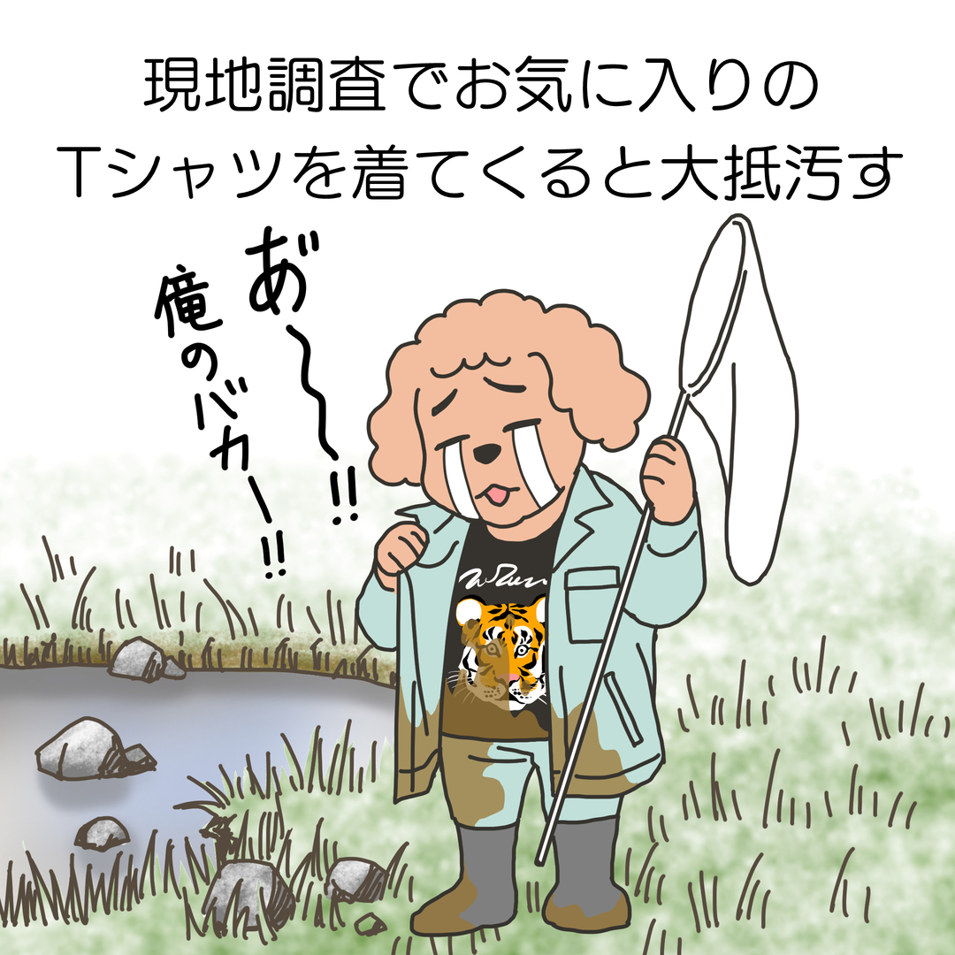 17 – In My Sketchbook